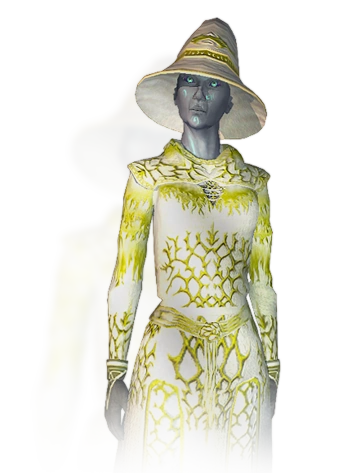 Coercer | The Norrathian Travel Guide Wiki | Fandom