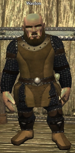 Waulon | The Norrathian Travel Guide Wiki | Fandom
