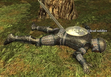 A dead soldier | The Norrathian Travel Guide Wiki | Fandom