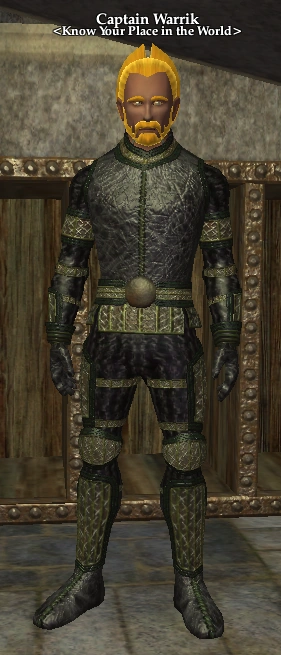 Captain Warrik | The Norrathian Travel Guide Wiki | Fandom