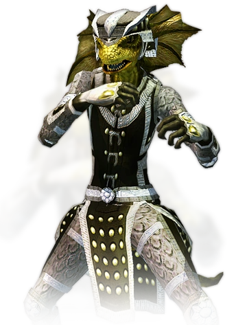 Bruiser | The Norrathian Travel Guide Wiki | Fandom