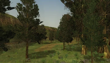 The Tainted Forest | The Norrathian Travel Guide Wiki | Fandom