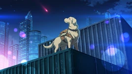 Kihara Noukan | Toaru Majutsu no Index Wiki | Fandom