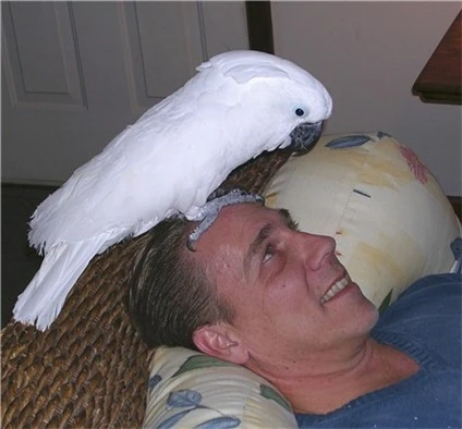 Kevin Westerbeck | To Catch a Predator Wiki | Fandom