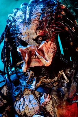 Jungle Hunter (Predator) | Movie and TV Wiki | Fandom