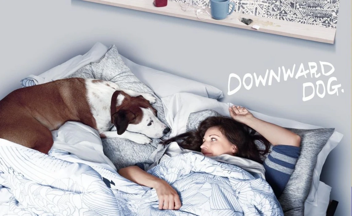 Downward Dog (2017) | Movie and TV Wiki | Fandom