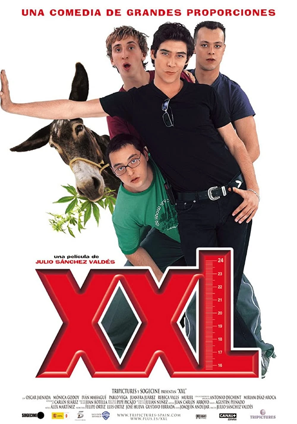 XXL (2004) | Movie and TV Wiki | Fandom