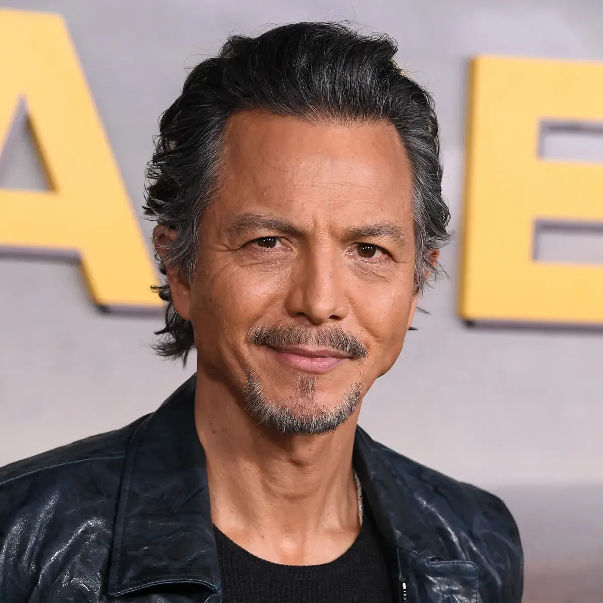 Benjamin Bratt (1963)/Image Gallery | Movie and TV Wiki | Fandom