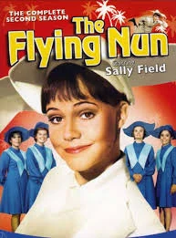 Flying Nun, The (1967) | Movie and TV Wiki | Fandom