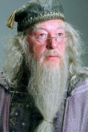 Albus Dumbledore (Harry Potter) | Movie and TV Wiki | Fandom