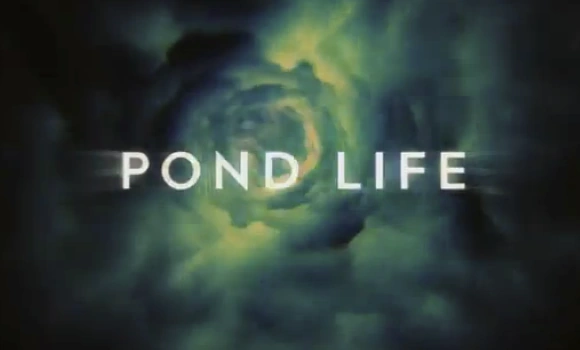 Pond Life (2012) | Movie and TV Wiki | Fandom