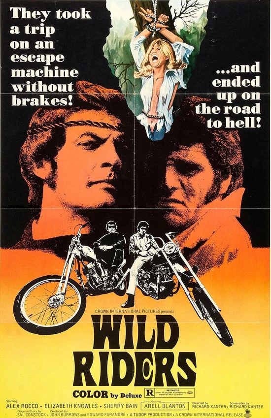 Wild Riders (1971) | Movie and TV Wiki | Fandom