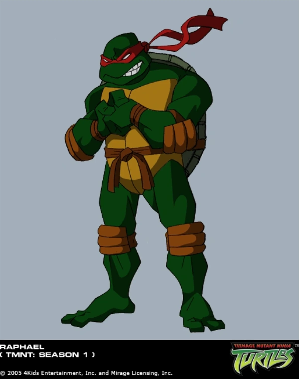 Raphael (TMNT 2003) | Movie and TV Wiki | Fandom