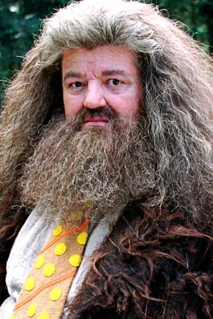 Rubeus Hagrid (Harry Potter) | Movie and TV Wiki | Fandom