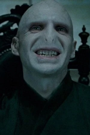 Lord Voldemort (Harry Potter) | Movie and TV Wiki | Fandom