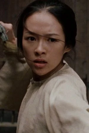 Jen Yu (Crouching Tiger, Hidden Dragon) | Movie and TV Wiki | Fandom