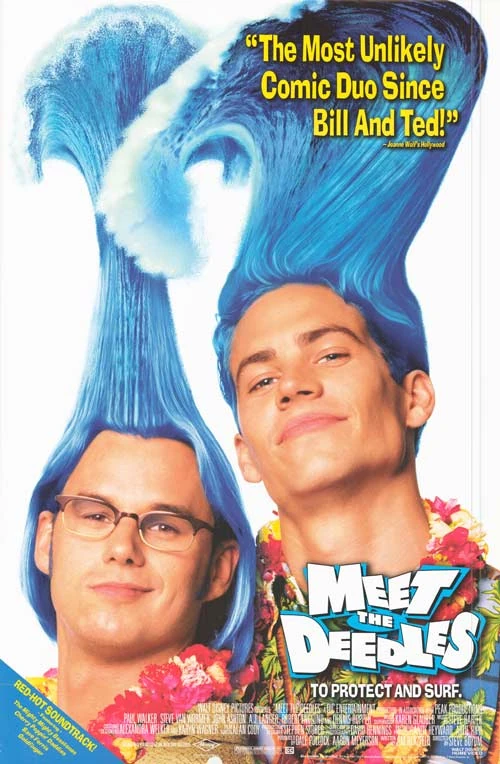 Meet the Deedles (1998) | Movie and TV Wiki | Fandom