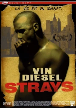Strays (1997) | Movie and TV Wiki | Fandom