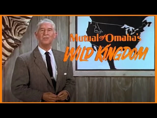 Mutual of Omaha's Wild Kingdom (1963) | Movie and TV Wiki | Fandom