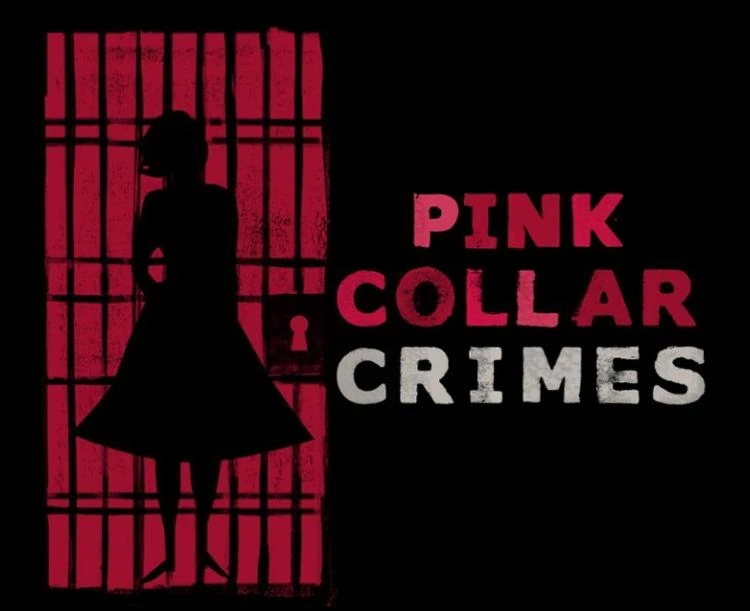 Pink Collar Crimes (2018) | Movie and TV Wiki | Fandom