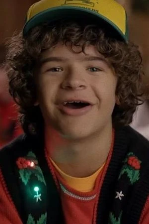 Dustin Henderson (Stranger Things) | Movie and TV Wiki | Fandom