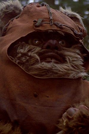Wicket W. Warrick (Star Wars) | Movie and TV Wiki | Fandom