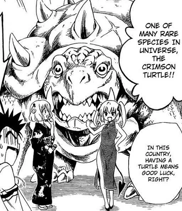 Crimson Turtle | To LOVE-Ru Wiki | Fandom