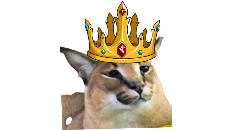 Floppa King | To the Future and back Stop Motion Comedy Wiki | Fandom