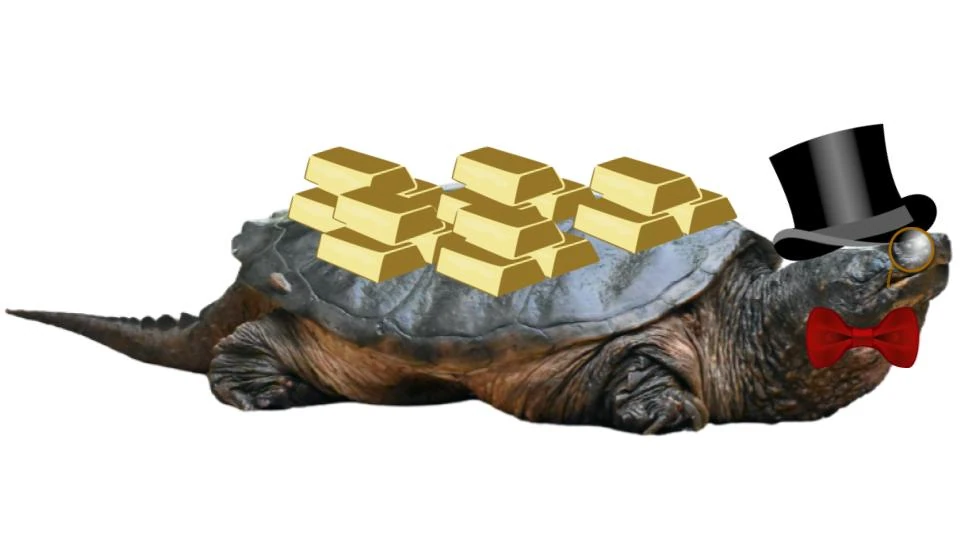 Turtle's Image Gallery | To the Future and back Stop Motion Comedy Wiki ...