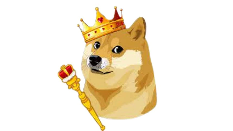 DogeKing | To the Future and back Stop Motion Comedy Wiki | Fandom