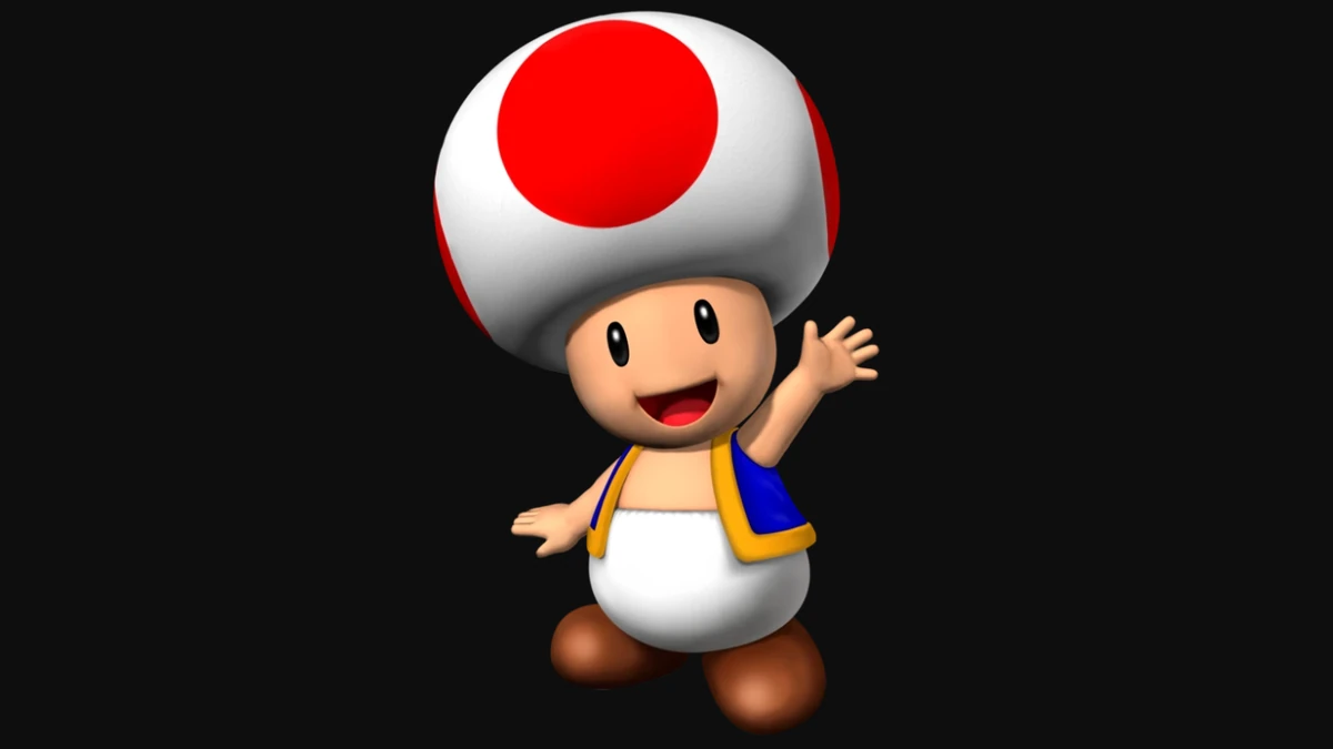 Toad | Toad Go Wiki | Fandom