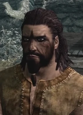 Tobuscus (Skyrim) | WikiBuscus | Fandom