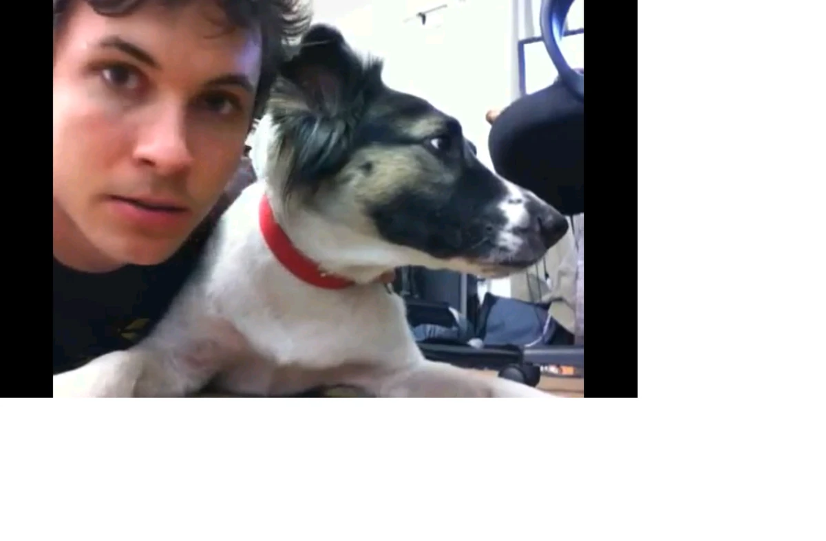 Gypsy | WikiBuscus | Fandom