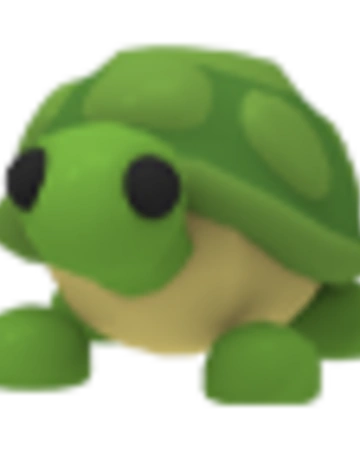 Turtle | Tobys Roblox Wiki | Fandom
