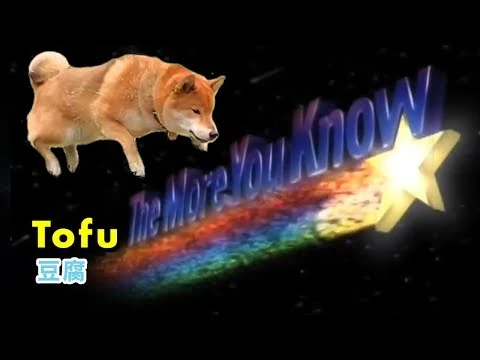 Tofu's Journey | Tofupupper Wiki | Fandom