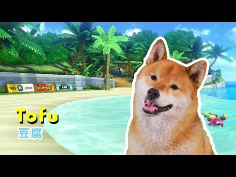 Tofu's Day At The Beach | Tofupupper Wiki | Fandom