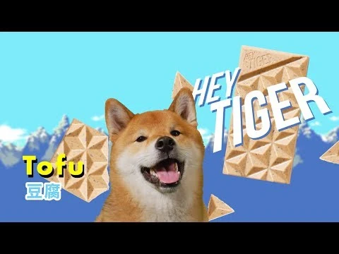 Tofu's Dream | Tofupupper Wiki | Fandom