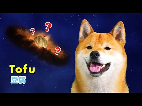 The Story of Tofu Chan | Tofupupper Wiki | Fandom