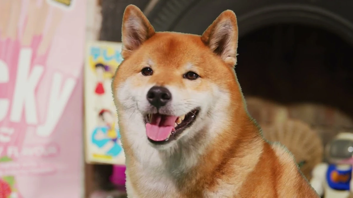 Category:Unavailable | Tofupupper Wiki | Fandom