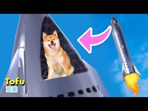 Tofu Takes a Trip | Tofupupper Wiki | Fandom