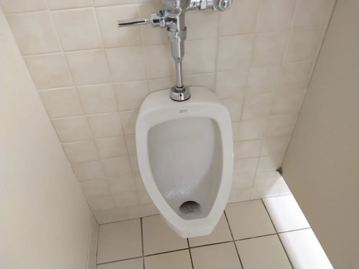 American Standard Allbrook | Toilets and Urinals Wiki | Fandom