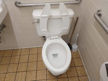 Eljer Savoy | Toilets and Urinals Wiki | Fandom