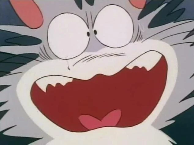 Cat | Tokimeki Tonight Wiki | Fandom