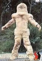 Shadow Mummy | Tokupedia | Fandom