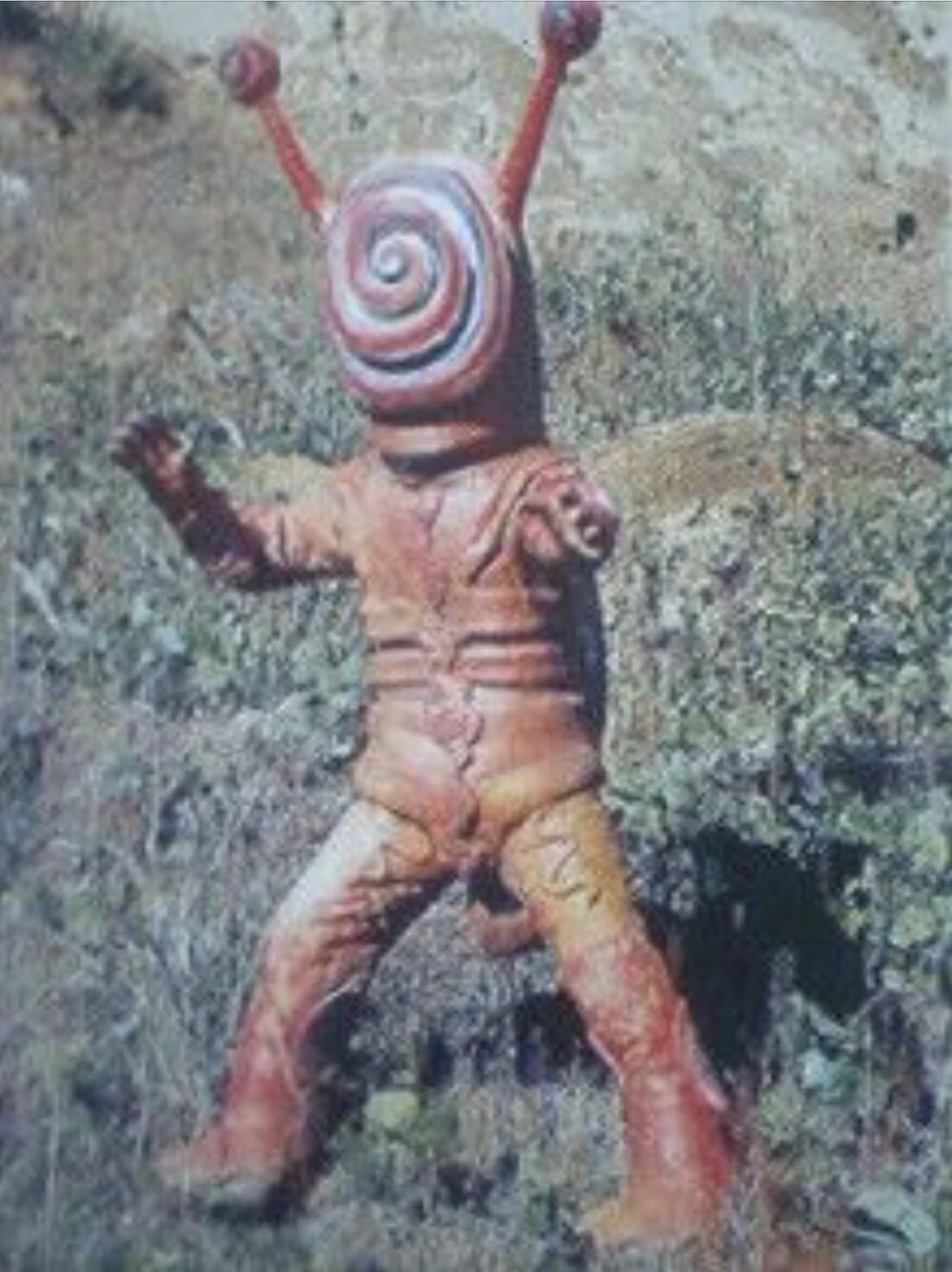 Orange Snail | Tokupedia | Fandom