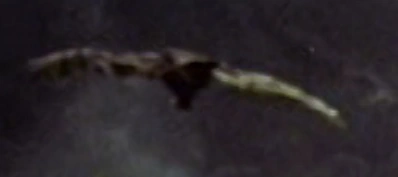 Dojin Hiki's Eagle | Tokupedia | Fandom