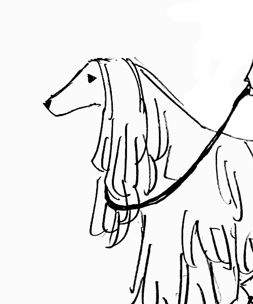 Pochi | Tokyo Revengers Wiki | Fandom