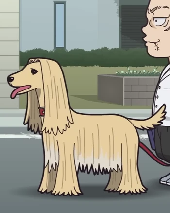 Pochi | Tokyo Revengers Wiki | Fandom