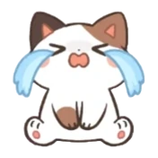 Cats | Tokyo Debunker Wiki | Fandom