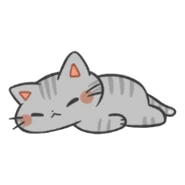 Cats | Tokyo Debunker Wiki | Fandom